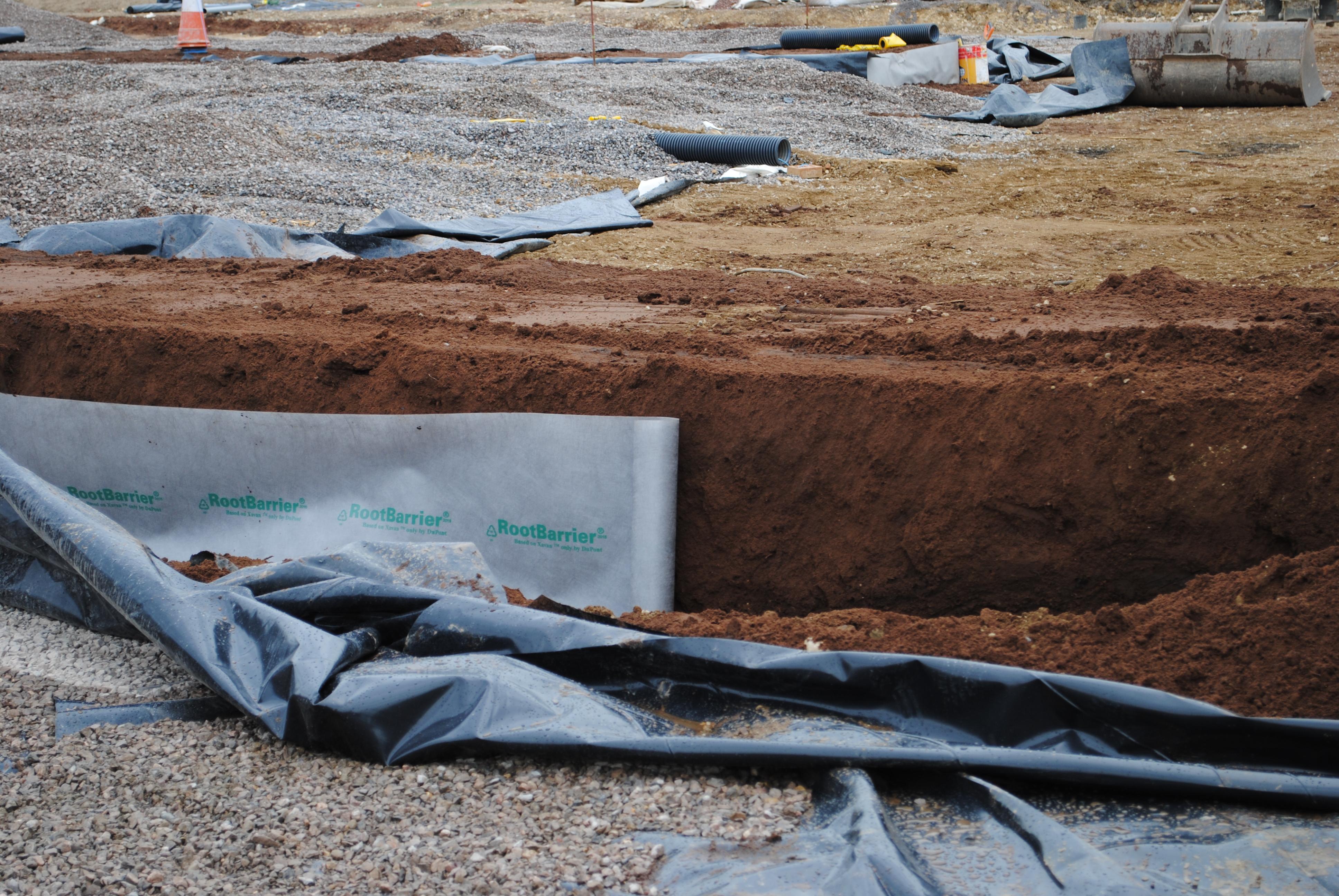 Root Barriers for Landscaping: Protect Lawns, Paths, and Foundations ...