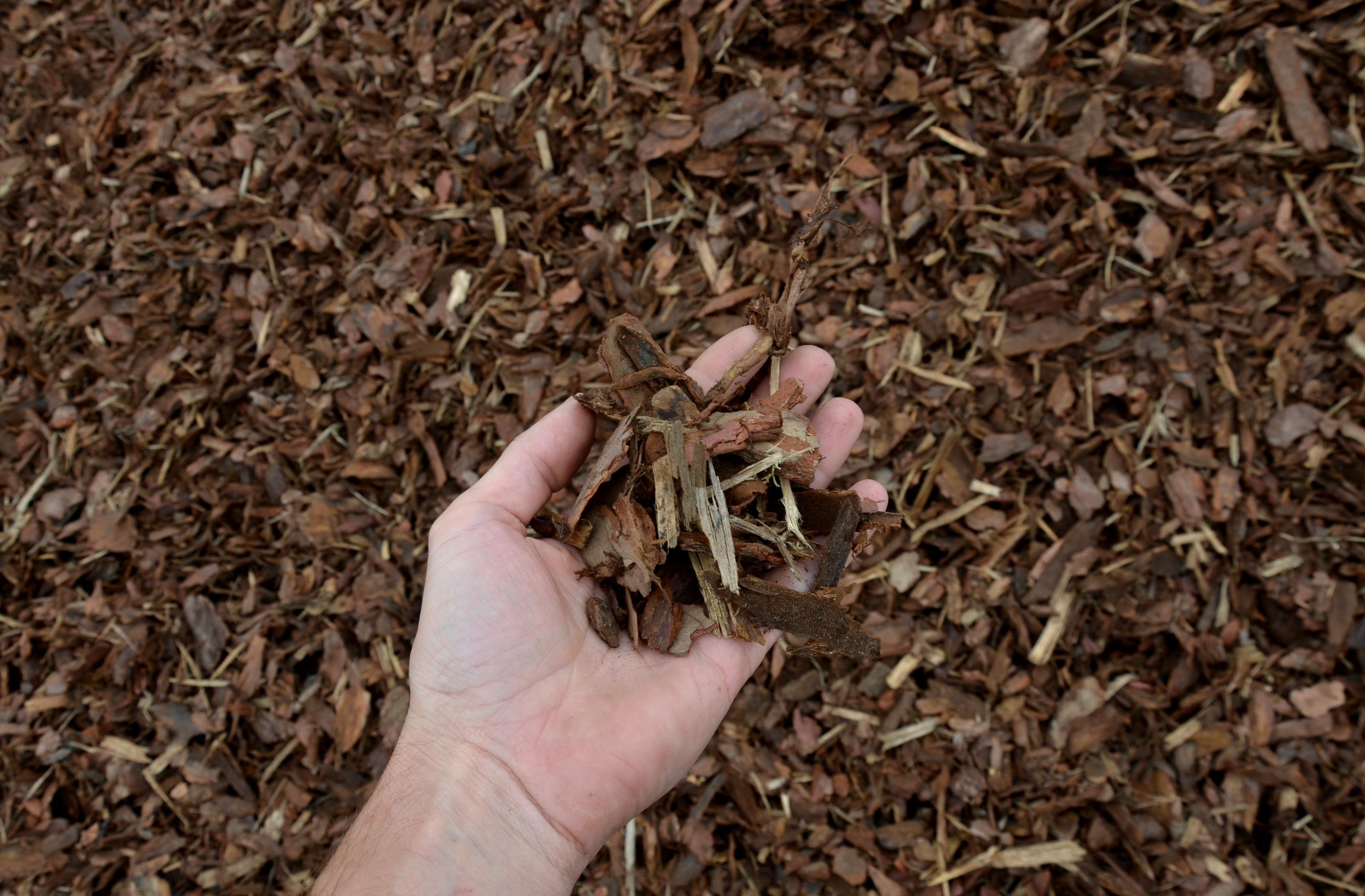 The Ultimate Guide to Mulching Young Trees for Soil Health in the UK ...