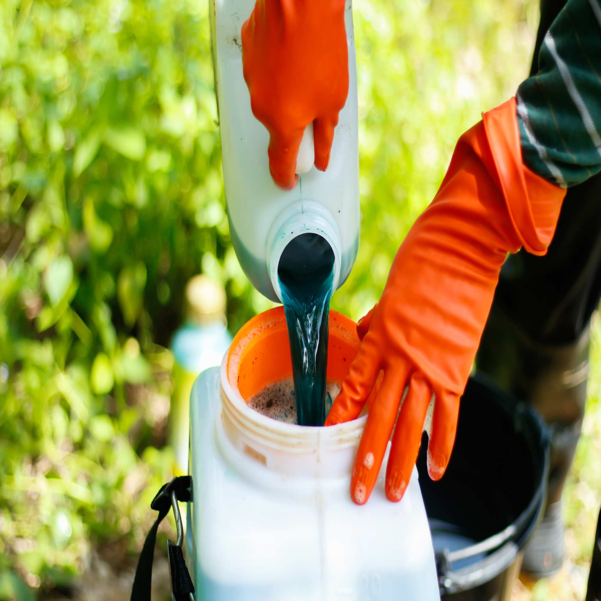 Safe Weed Control Around Trees, Shrubs & Landscaped Areas ...