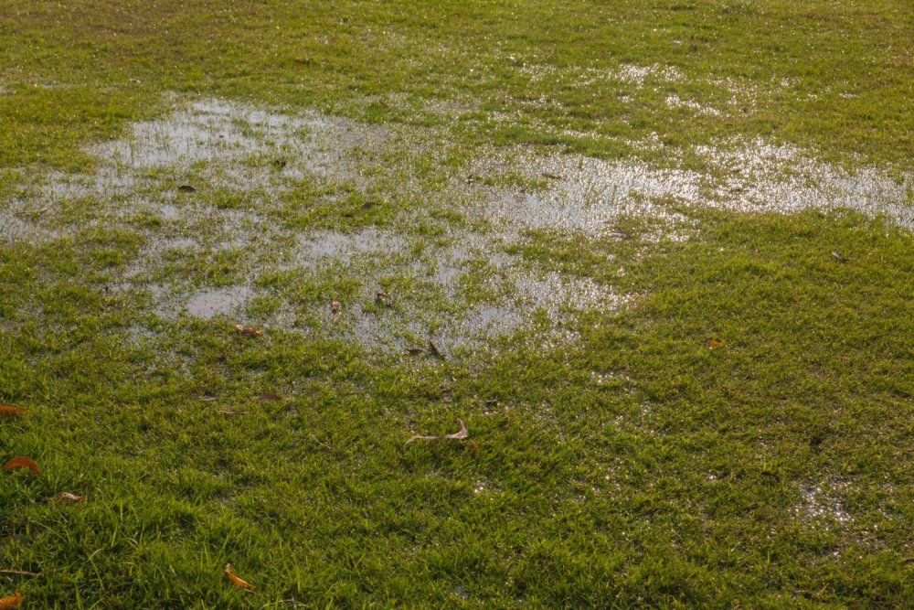 How to flood-proof your lawn - GardenerSupplies