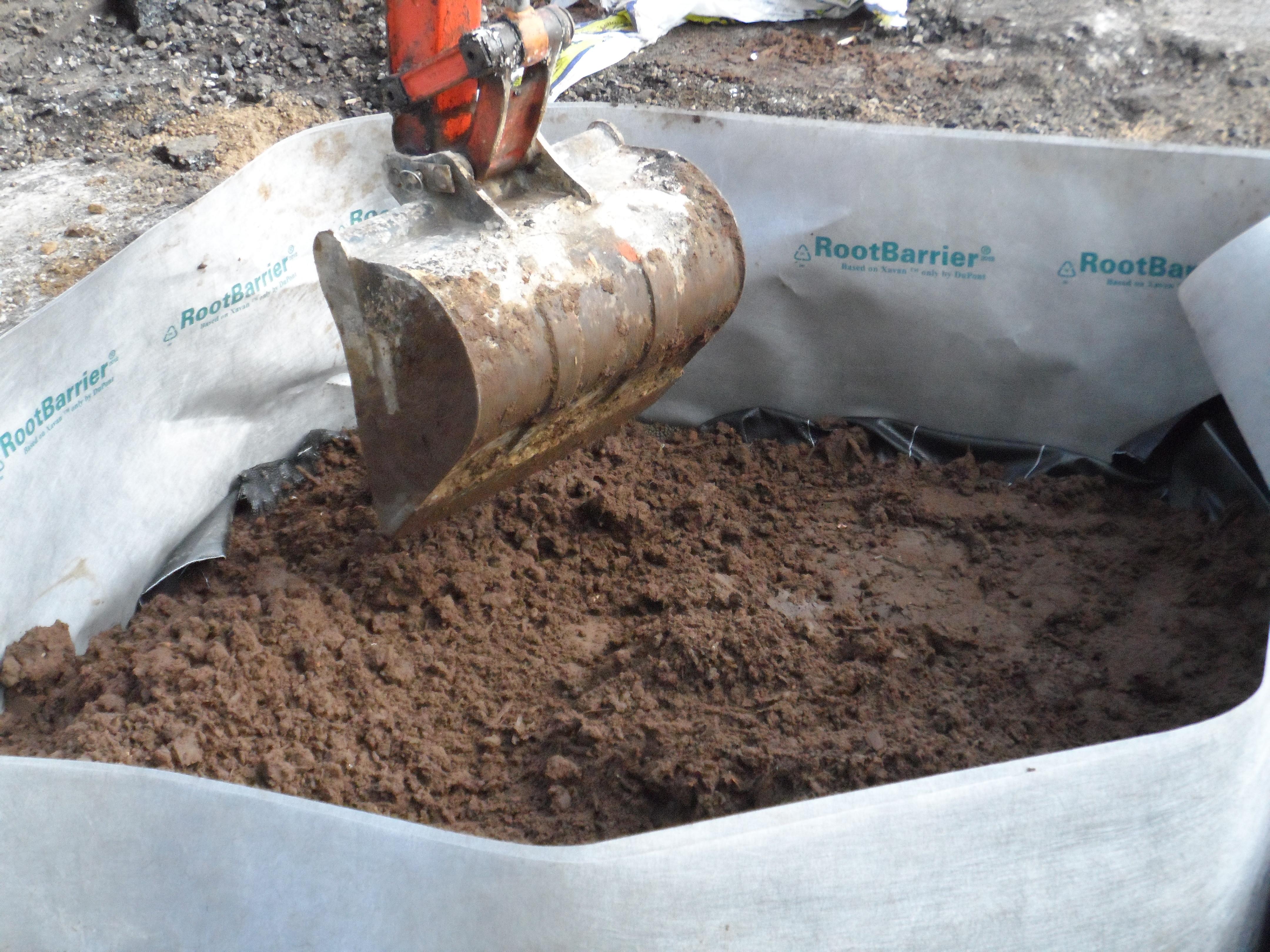 Protecting Buildings and Driveways with Root Barriers: Step-by-Step ...