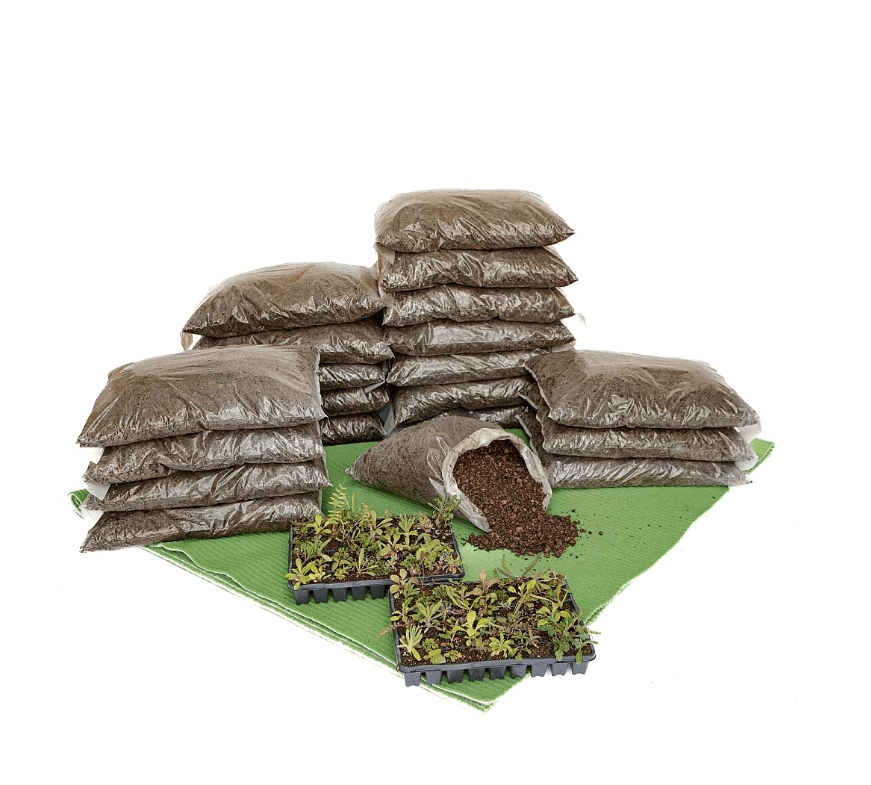 DIY Green Roof Kits: Transform Your Roof with Sedum - GardenerSupplies