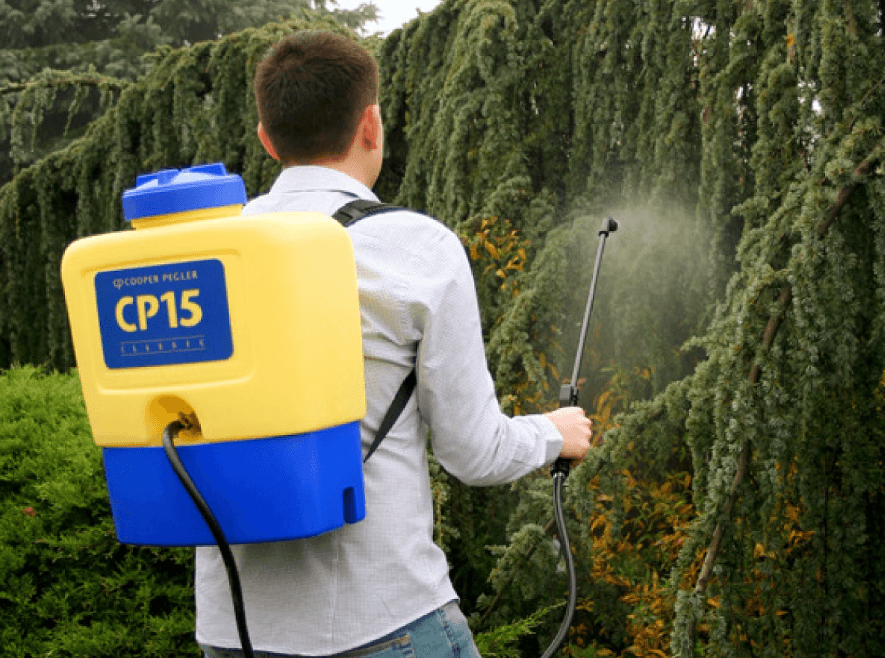 Ultimate Guide to Garden & Professional Weed Sprayers in the UK ...