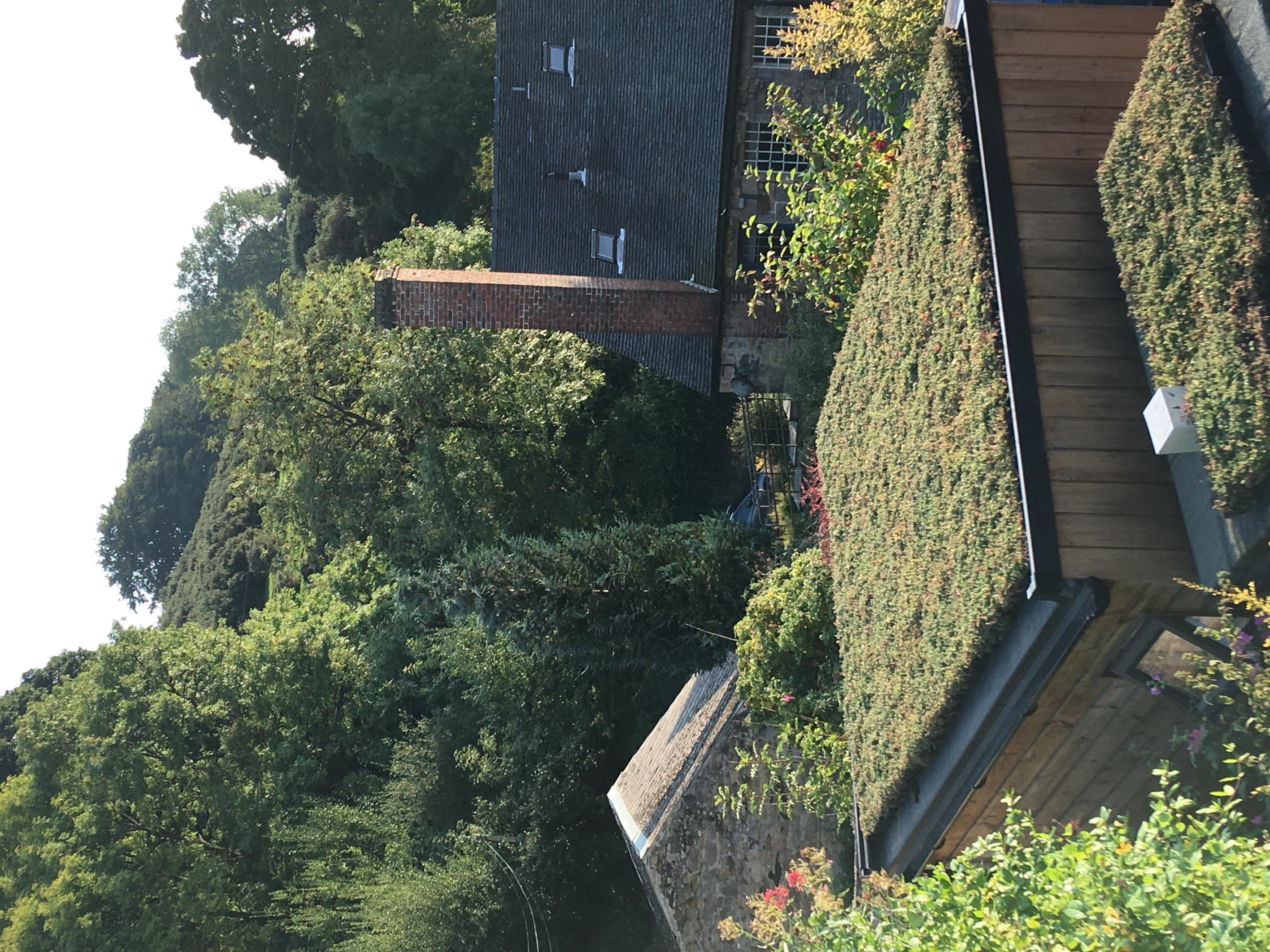 Designing and Installing Your Own DIY Green Roof with Sedum ...
