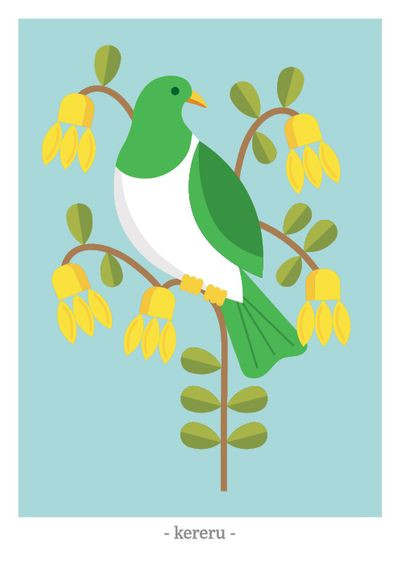Art postcard - Kereru - Adore Collection