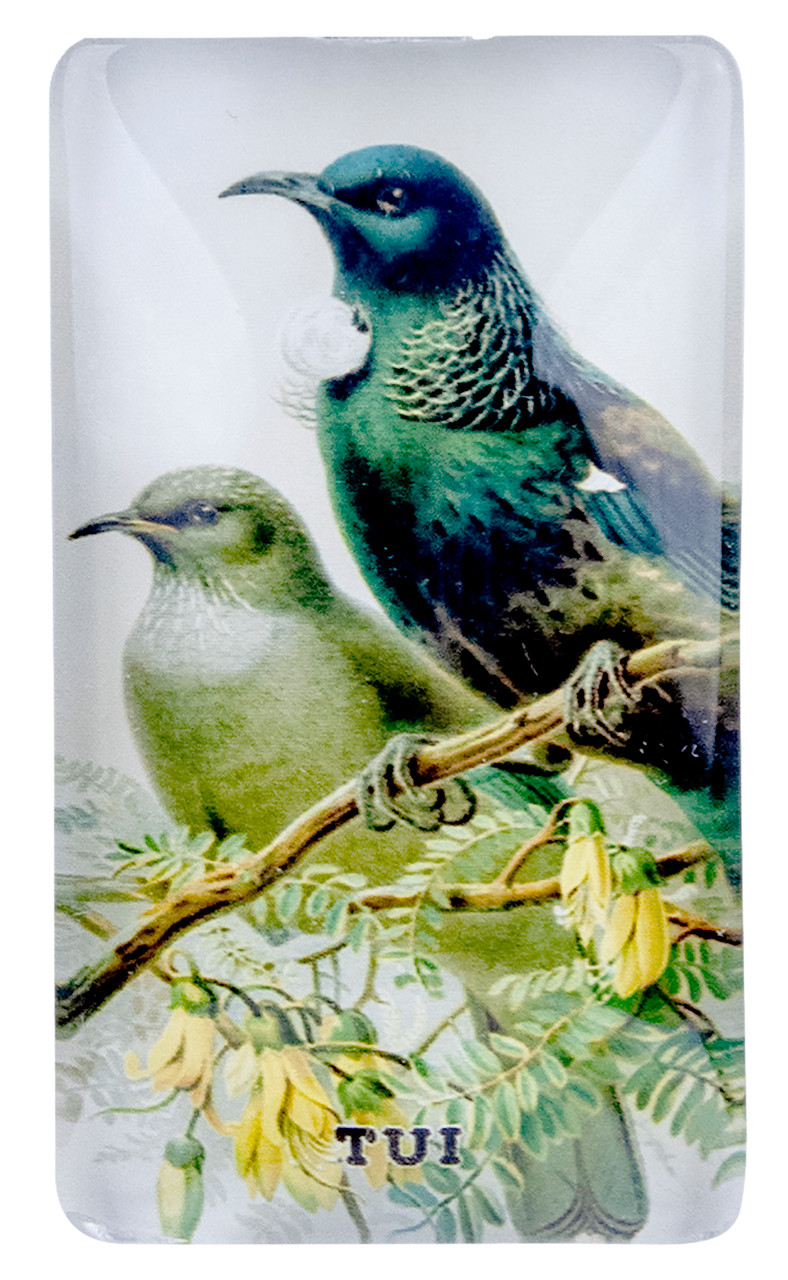 NZ tui glass magnet - Adore Collection