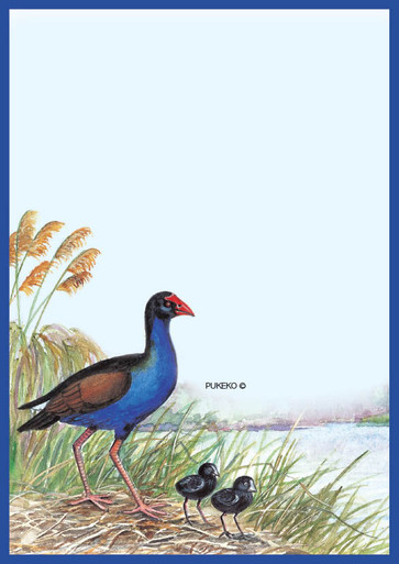 Notepad with Pukeko and chicks - Adore Collection
