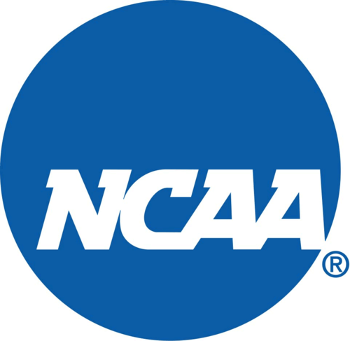 College & Professional Sports Flags - Flags.com