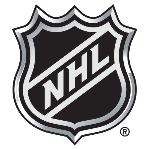Sports Flags & Banners – NFL, NCAA, MLB + More
