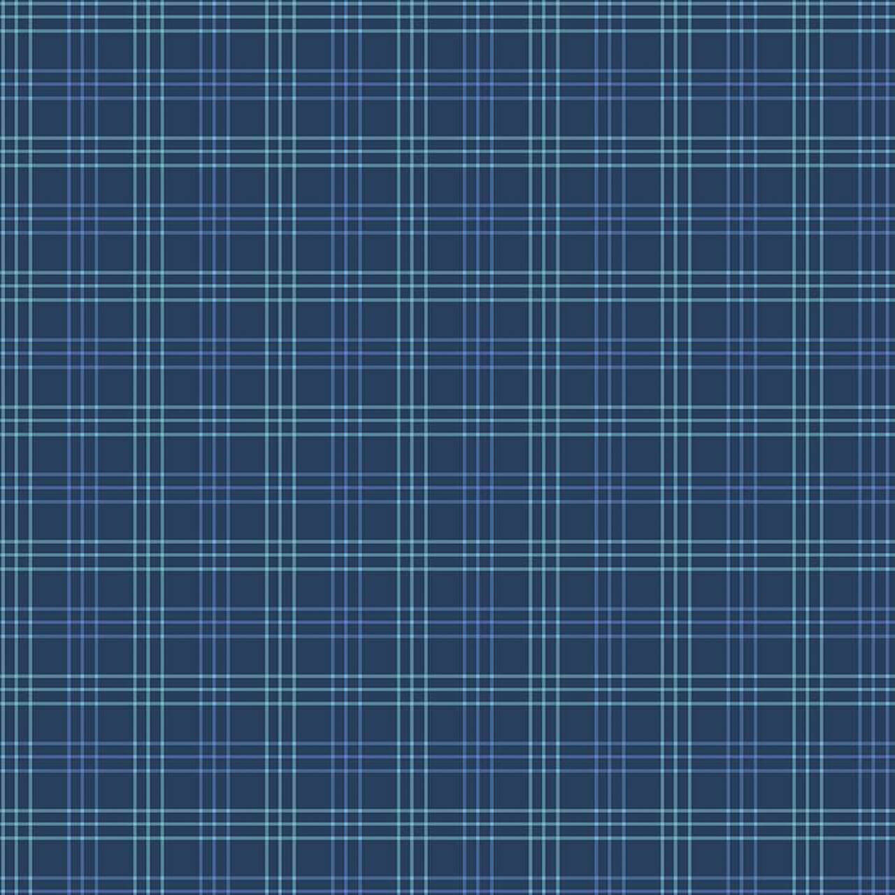 Andover Friday Night Napkin Midnight fabric
