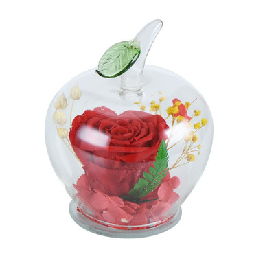 Apple Rose Glass Globe Ball Red Flower Teacher Gift Snow White Wife Mom