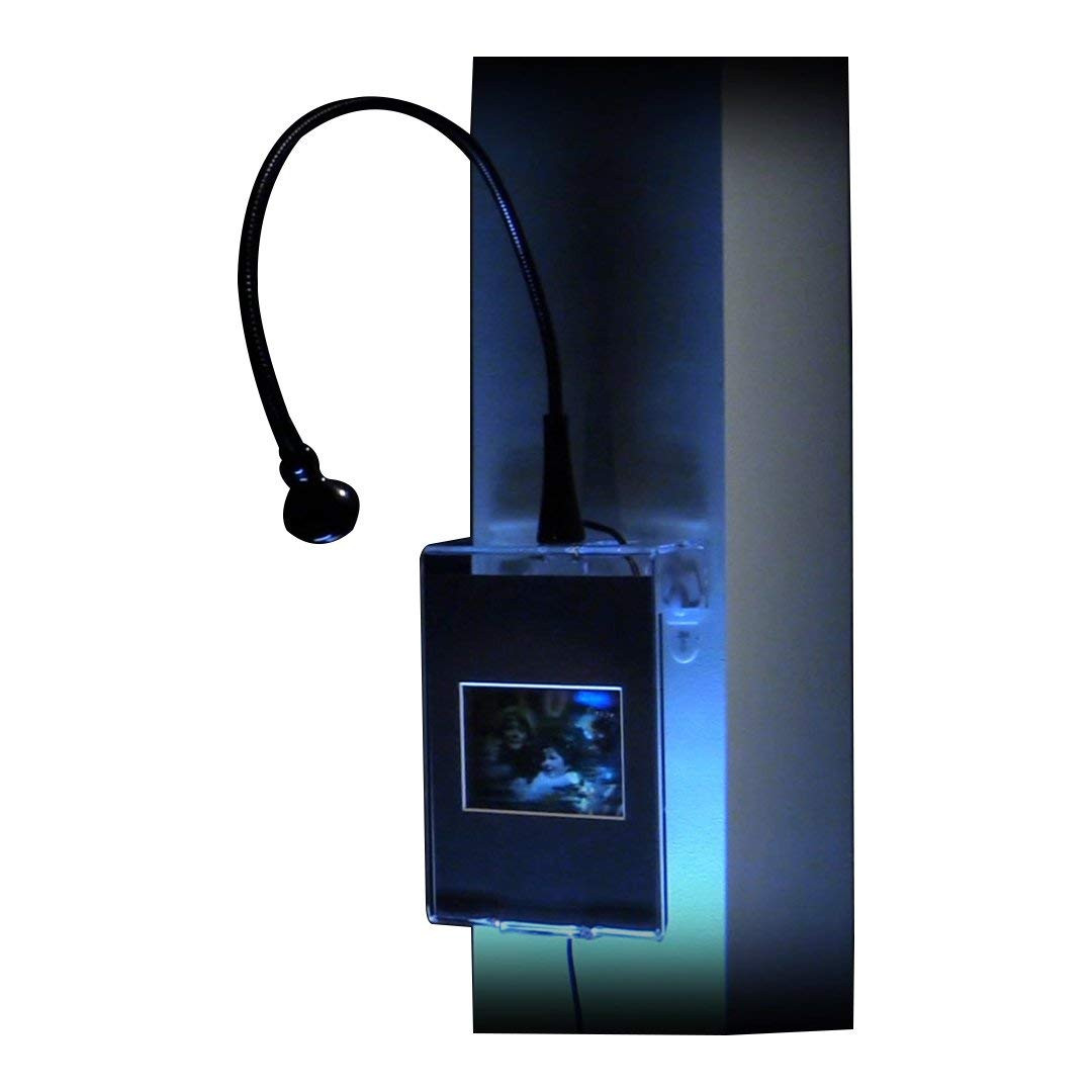 TOY SHOP Window Hologram Picture (LIGHTED WALL DISPLAY), 3D Collectible ...
