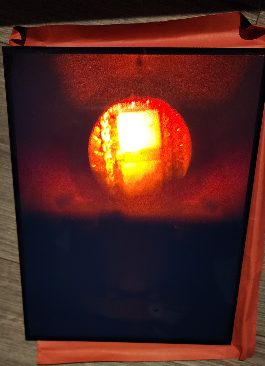 Microscope hologram by Walter Spierings