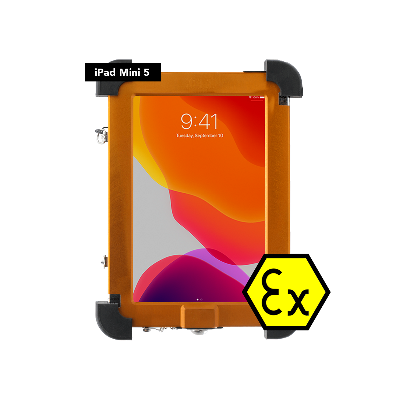 Mobile Devices - ATEX Tablets - Ex Tablet Cases - iOS Ex iPAD Cases ...