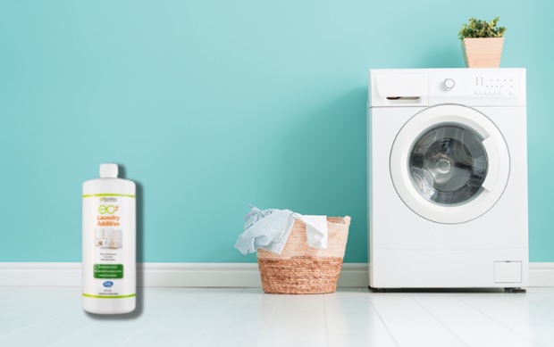 Say Goodbye to Moldy Clothes with Our Effective Mold-Killing Detergent ...