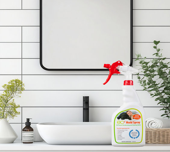 Making Mold Remediation Safe for Your Family - Micro Balance Health ...