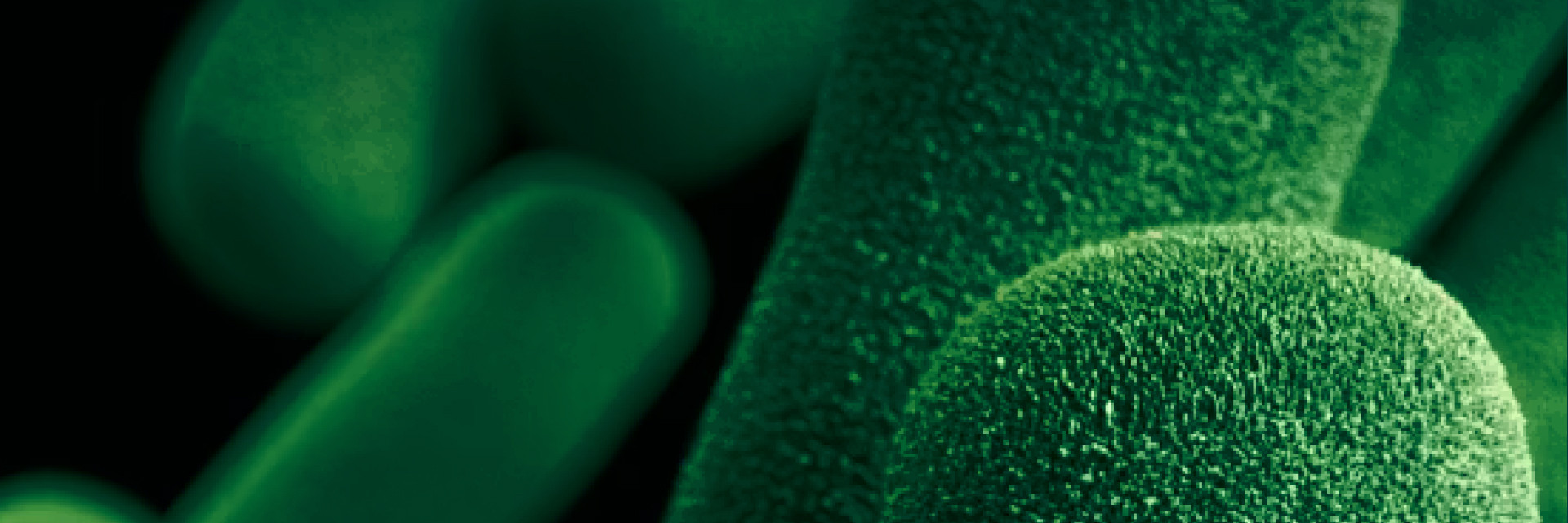 The Latest Research on Probiotics & Supplement Effectiveness in 2026 ...