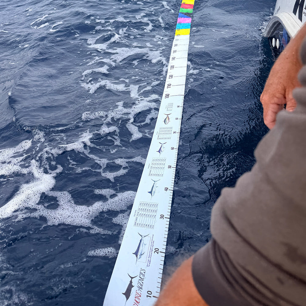 3m Boat-Side Fish Measuring Mat | Blue Bottle Marine
