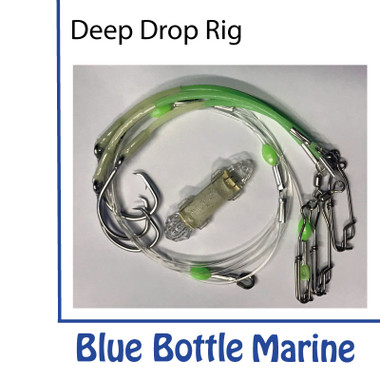 blue eye cod Best Deal | Blue Bottle Marine