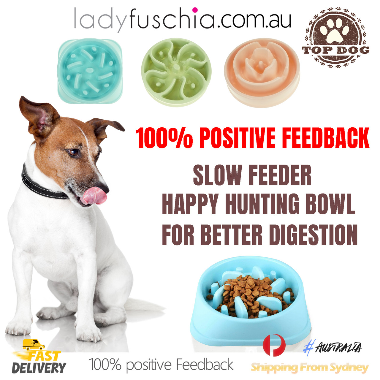 Happy Hunting Healthy Slow Feed Dog/Cat Bowl - Maze Design Green ...
