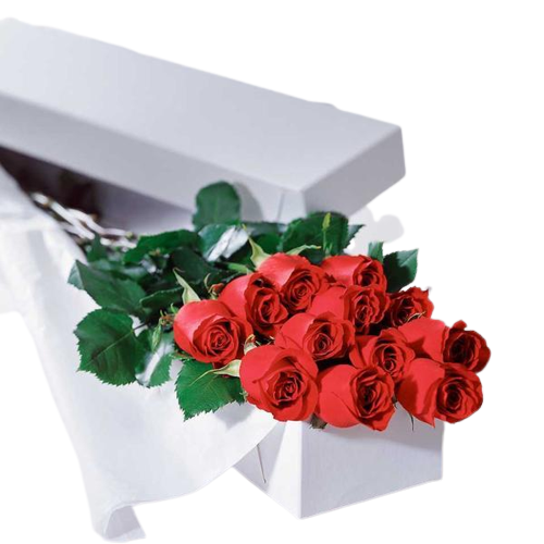 Dozen Boxed Roses - Flower Den Florist | Northern Virginia