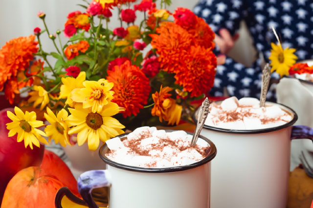 Things to Do in Fall: Embrace the Beauty and Warmth of the Season ...