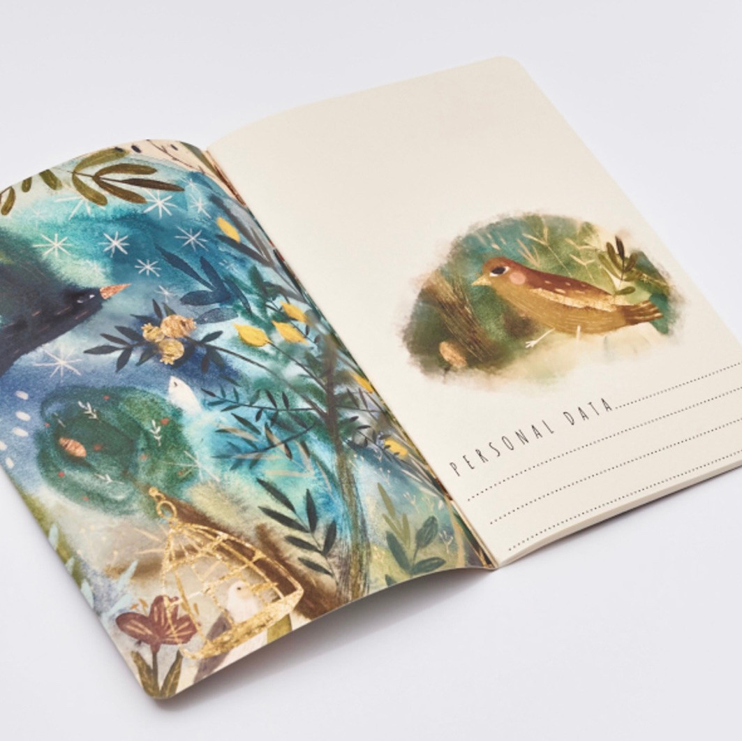 Roman Murals Notebook - Wonder Objects