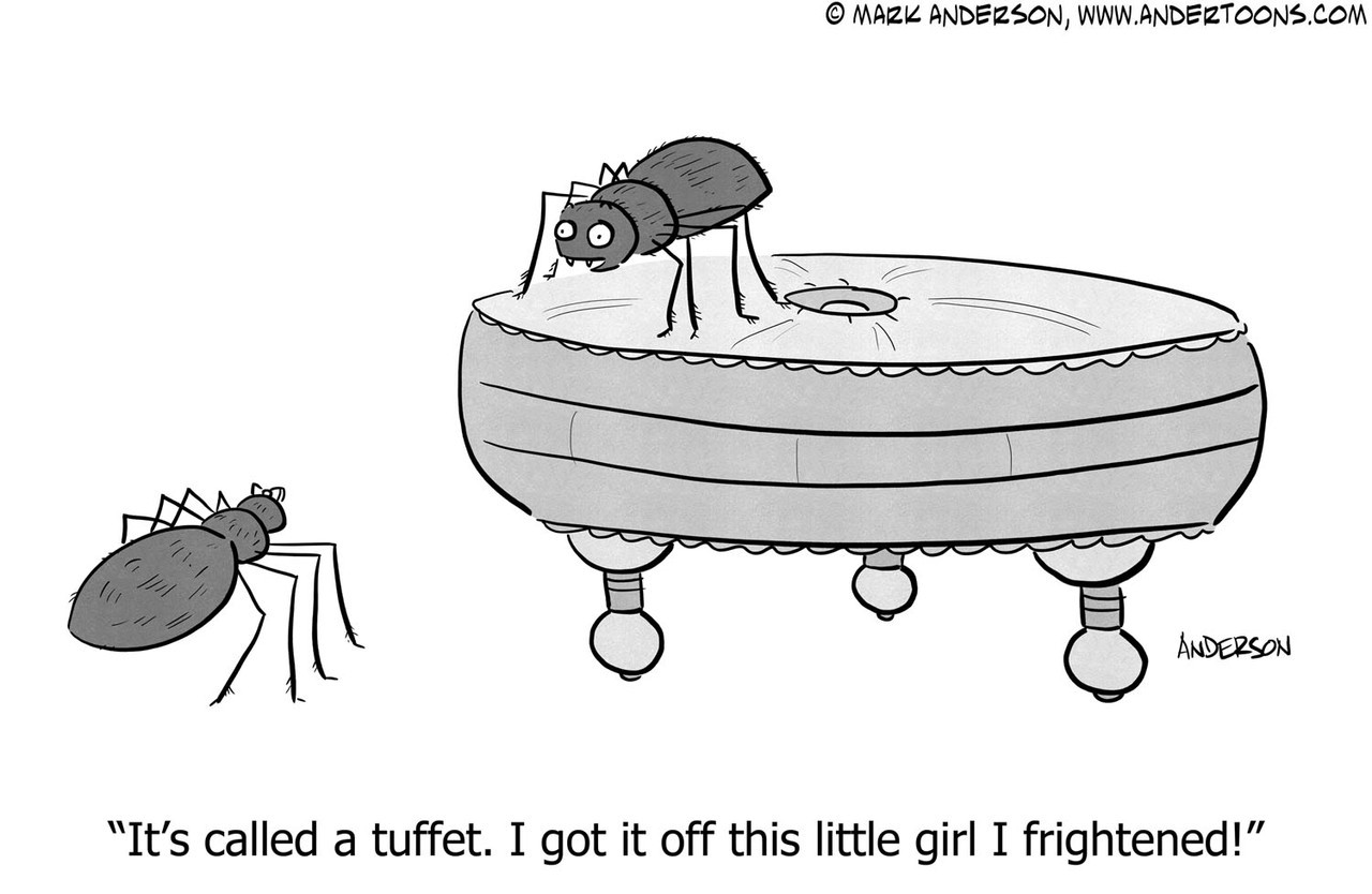 Spider Cartoon # 7150 - ANDERTOONS