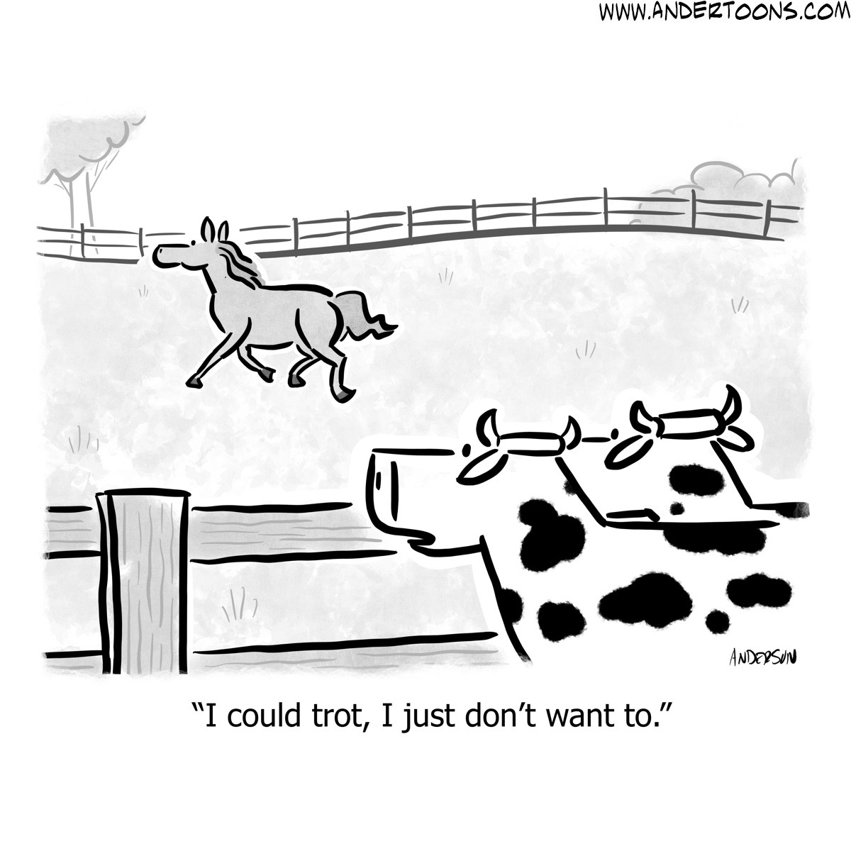 Cow Cartoon #8869 - ANDERTOONS