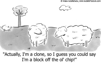 Sheep Cartoon # 2904 - ANDERTOONS