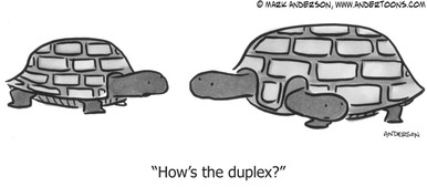 House Cartoon # 4212 - ANDERTOONS