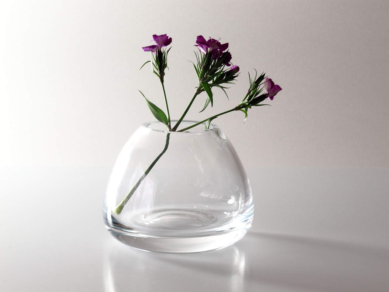 Time Tree Mini Onion Polish Glass Vase H8cm D10cm - panora