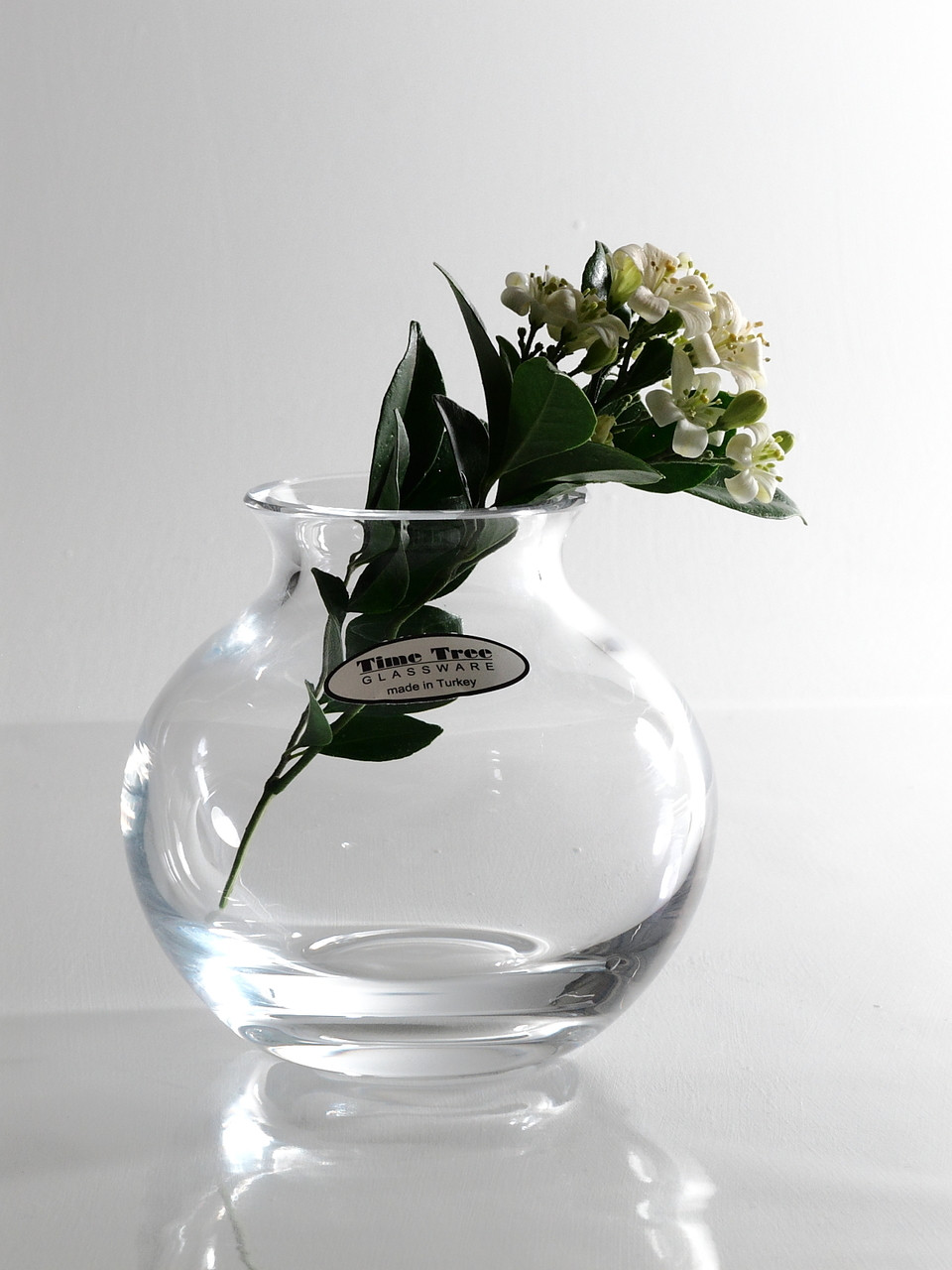 Time Tree Mini Globe Polish Glass Vase H10cm D10cm - panora