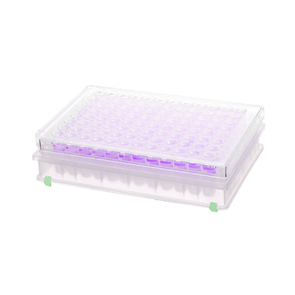 CellPro™ 96-Well Micro-Filtration Plate, 600 µL, PTEF, Hydrophilic, for ...