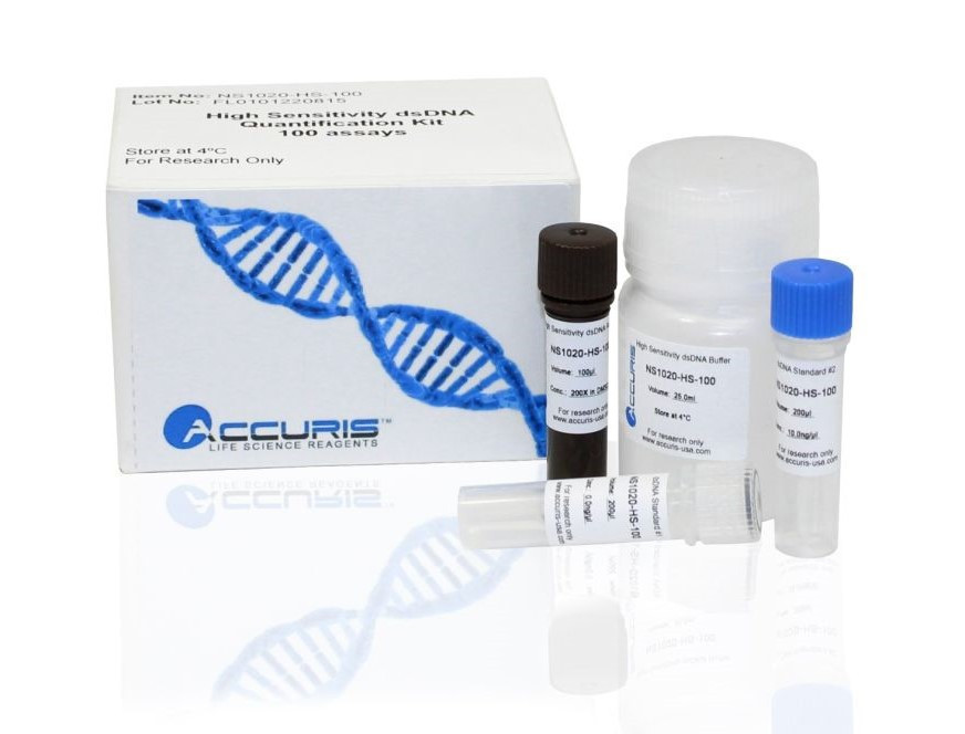 1X High Sensitivity dsDNA Quantification Kit, 100 assays