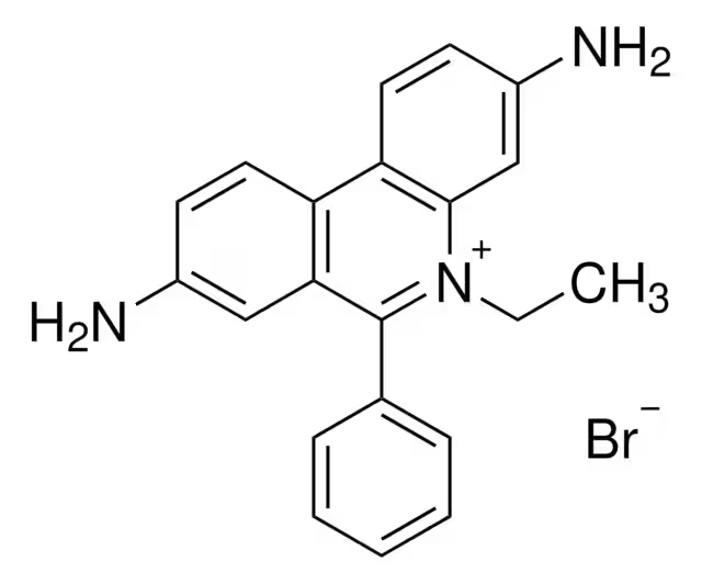 Ethidium bromide solution, 1 X 5 mL (E1385-5ML) | MilliporeSigma ...