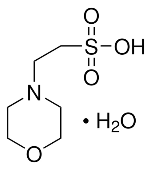 MES monohydrate, 1 X 100 g (69892-100G) | MilliporeSigma® (Sigma-Aldrich)