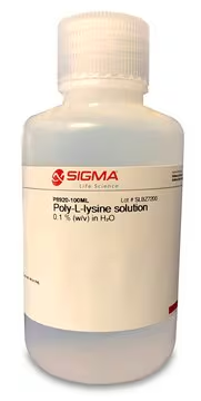 Poly-ʟ-lysine solution, 1 X 100 mL (P8920-100ML) | MilliporeSigma ...