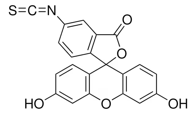 Fluorescein isothiocyanate isomer I, 1 X 50 mg (F4274-50MG ...