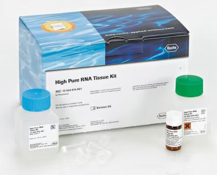 High Pure RNA Tissue Kit, 1 X 50 tests (12033674001) | MilliporeSigma ...