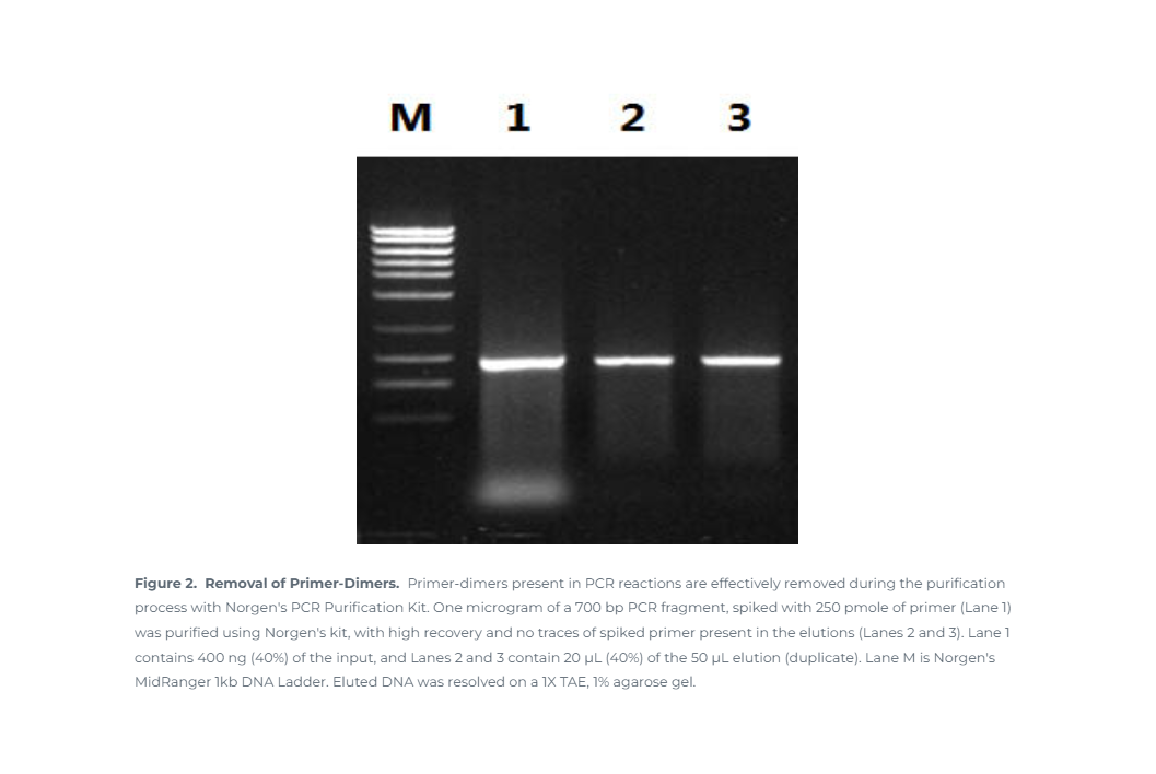 Norgen Biotek™ PCR Purification Kit (Spin Column)