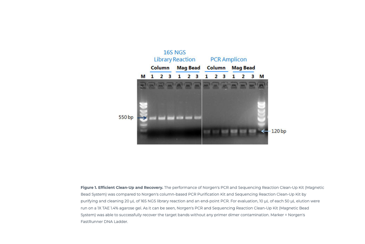 Norgen Biotek™ PCR and Sequencing Reaction Clean-Up Spin Column Kit ...