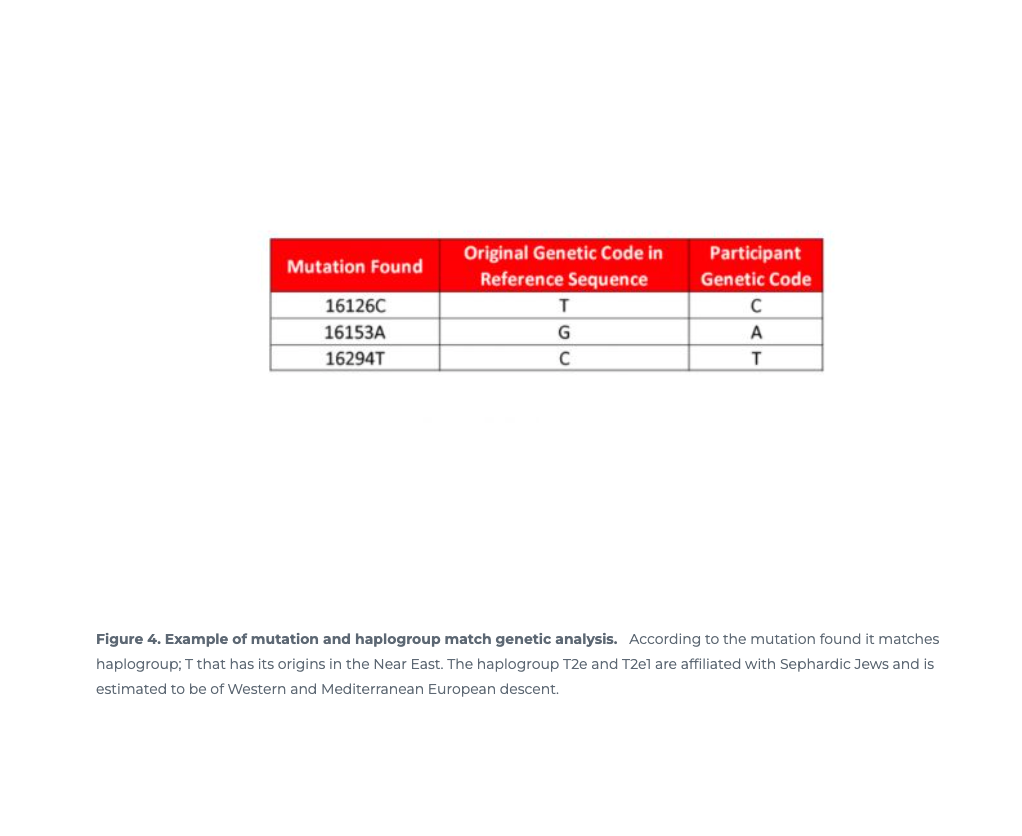 Norgen Biotek™ Hair Mitochondrial DNA Isolation Spin Column Kit, 50 Preps