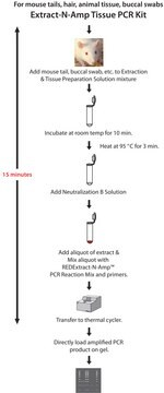 REDExtract-N-Amp™ Tissue PCR Kit, 1 X 100 reactions (XNAT-100RXN ...