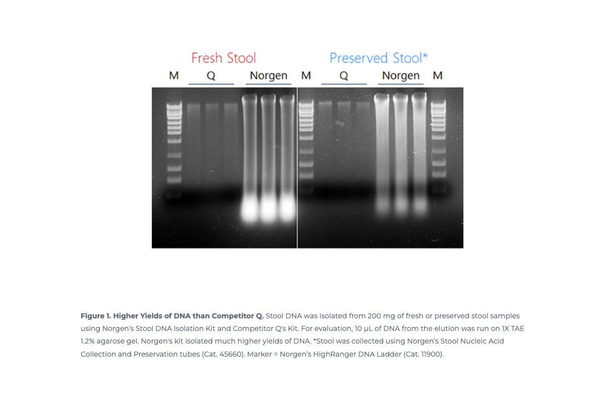 Norgen Biotek™ Stool DNA Isolation High Throughput 96-Well Plate Kit, 2 ...