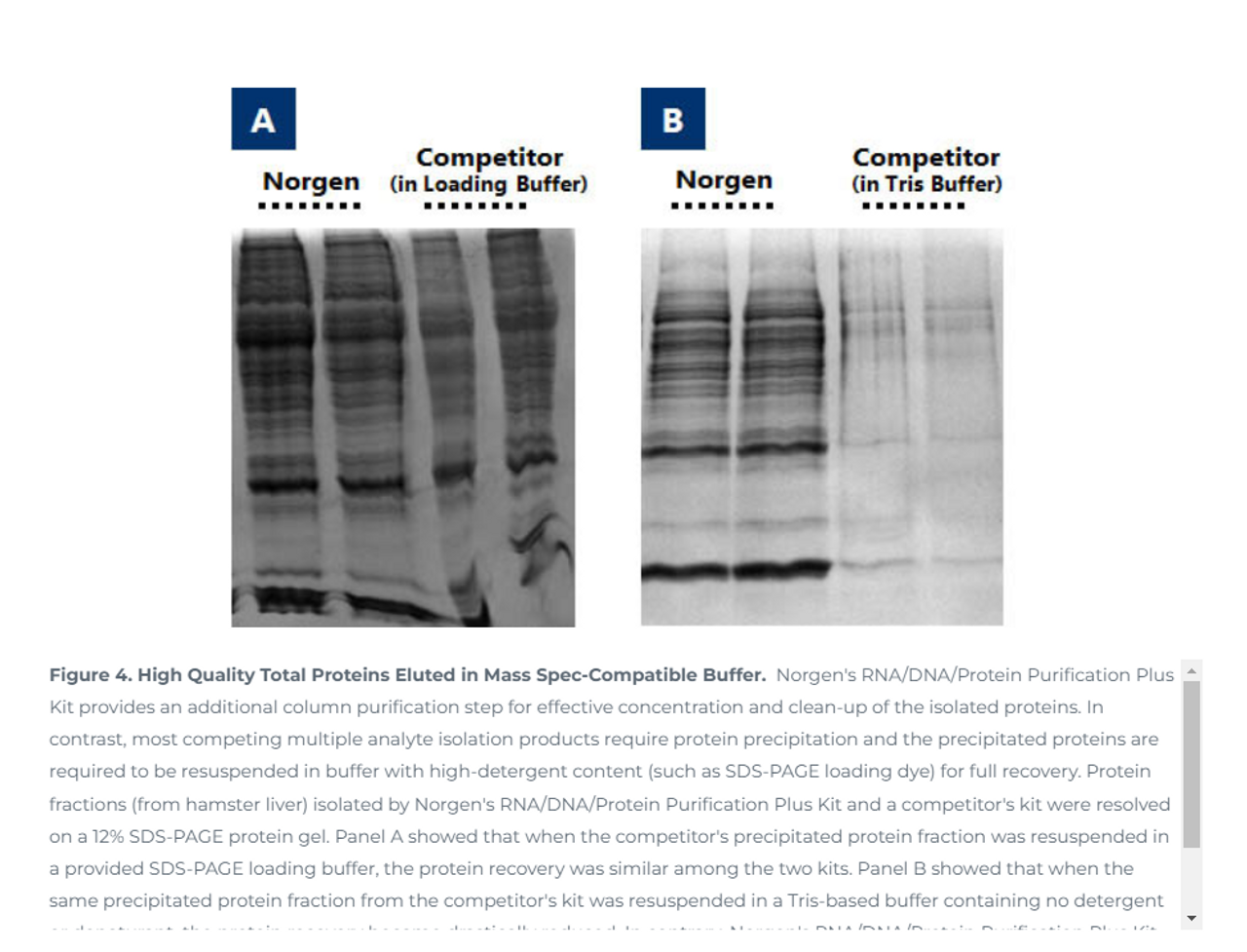 Norgen Biotek™ RNA/DNA/Protein Purification Plus Micro Spin Column Kit, 50 Preps