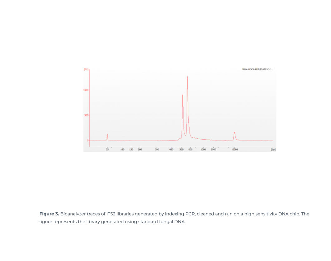 Norgen Biotek™ ITS3-ITS4 Library Preparation Kit for Illumina