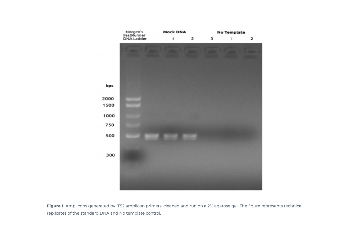 Norgen Biotek™ ITS3-ITS4 Library Preparation Kit for Illumina