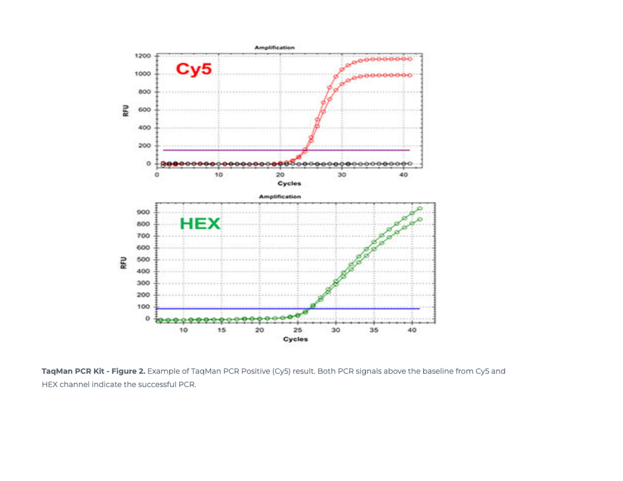 Norgen Biotek™ Chlamydia/Neisseria gonorrhoeae TaqMan PCR Kit, 100 Reactions