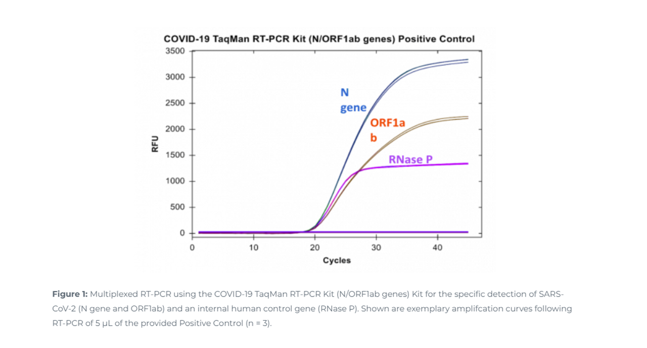 Norgen Biotek™ COVID-19 TaqMan RT-PCR Kit (N/ORF1ab genes), 500 Reactions